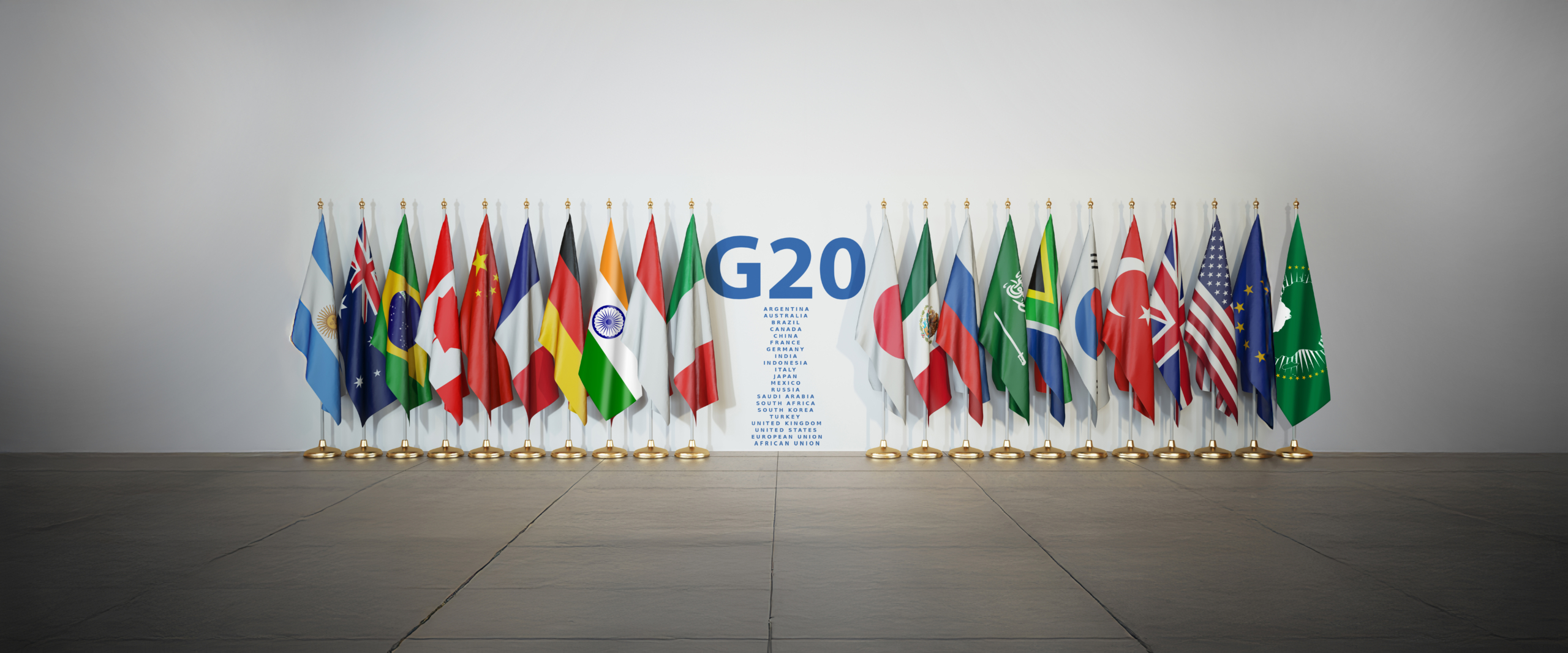 Overview – G20 South Africa